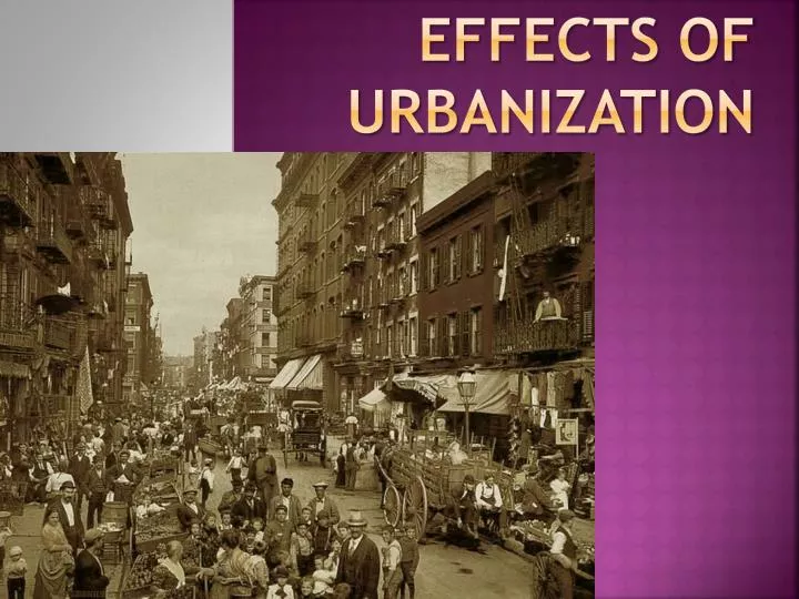 PPT - Effects of Urbanization PowerPoint Presentation, free download ...