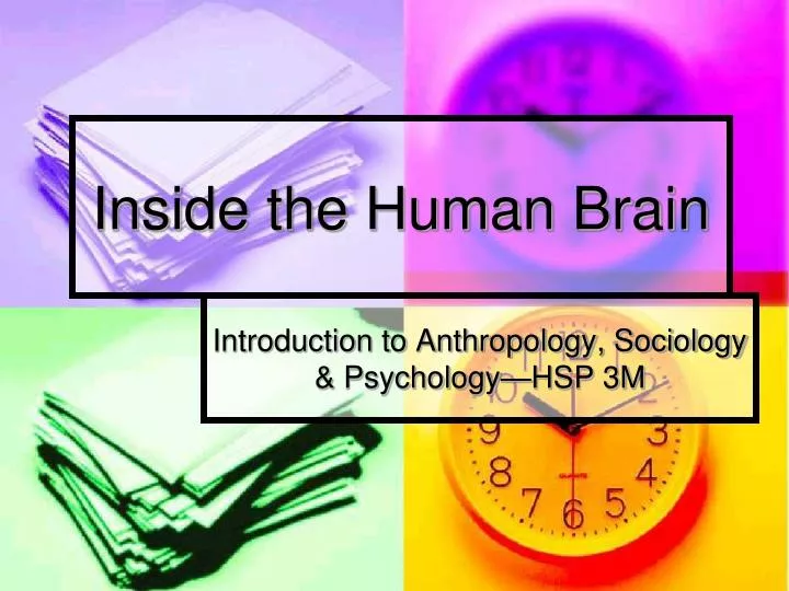 PPT - Inside the Human Brain PowerPoint Presentation, free download ...