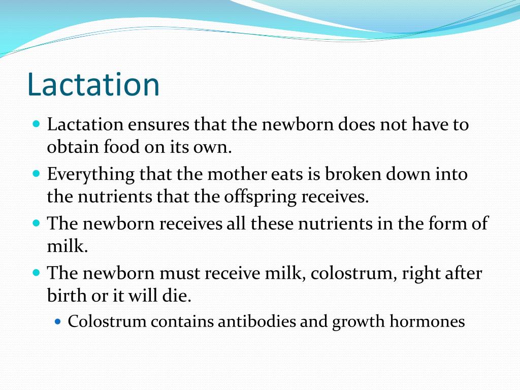 PPT - Pregnancy & Lactation PowerPoint Presentation, free download - ID ...