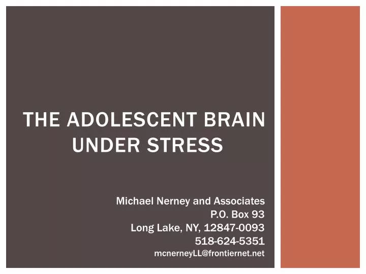 PPT - The adolescent brain under stress PowerPoint Presentation, free ...