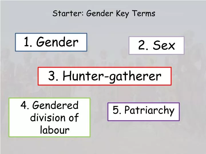 PPT - Starter: Gender Key Terms PowerPoint Presentation, free download ...