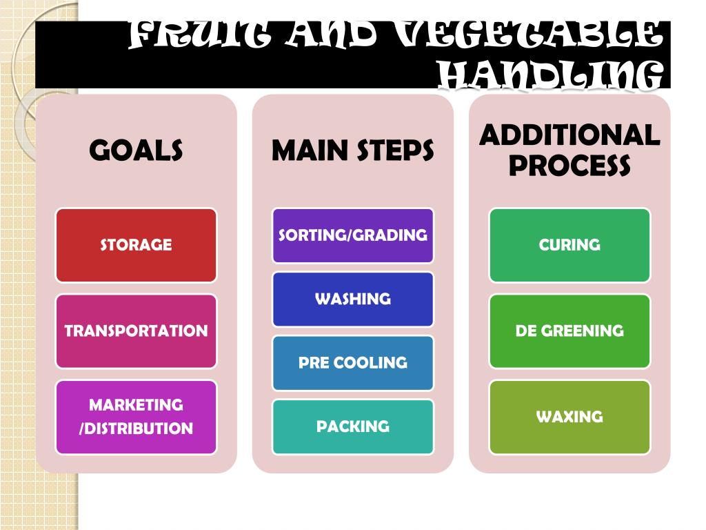 PPT - KARAKTERISTIK BUAH DAN SAYUR PowerPoint Presentation, free ...