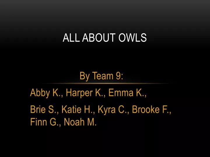 PPT - All About Owls PowerPoint Presentation, free download - ID:2499943
