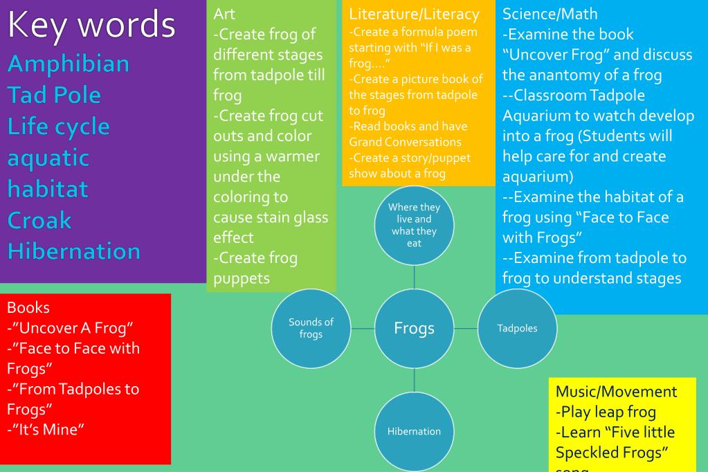 PPT - Key words Amphibian Tad Pole Life cycle aquatic habitat Croak ...