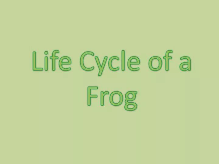 PPT - Life Cycle of a Frog PowerPoint Presentation, free download - ID ...