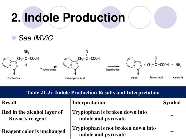 PPT - Ex. 21: SIM Medium (Sulfur, Indole , Motility) PowerPoint ...