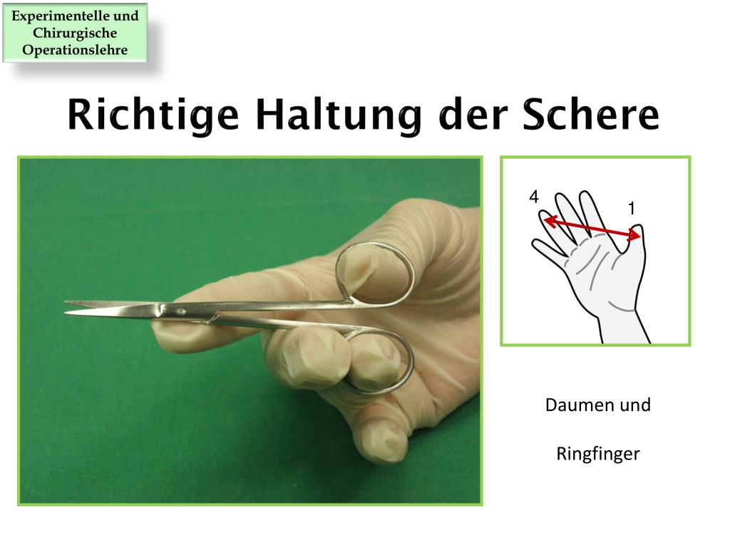 PPT - Zusammenfassung : Knotentechnik und Grundlegende Nahttechniken ...