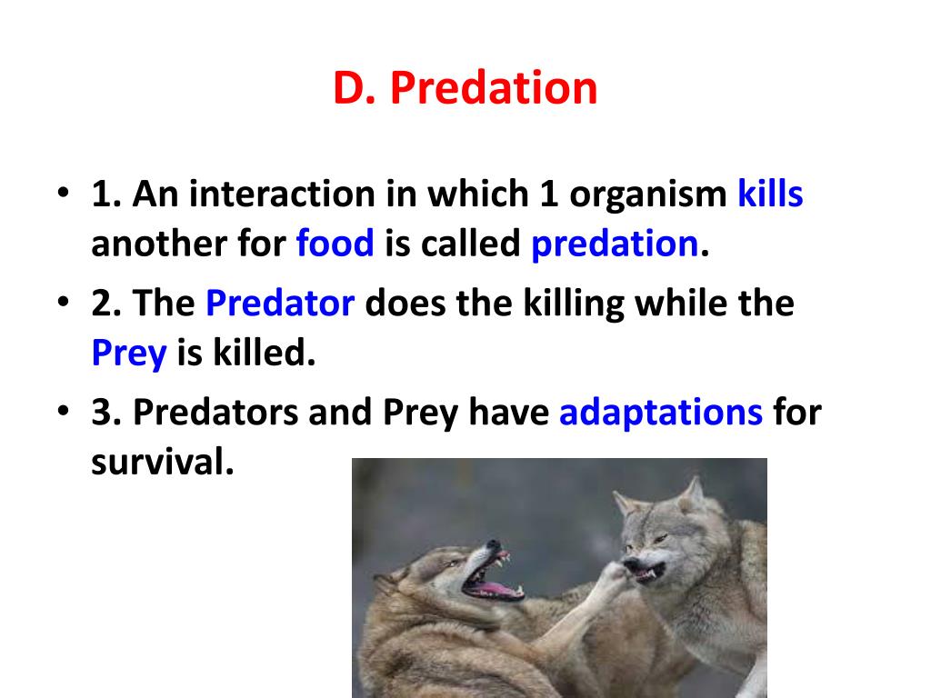PPT - Interactions Among Living Things Ch. 1.3 PowerPoint Presentation ...