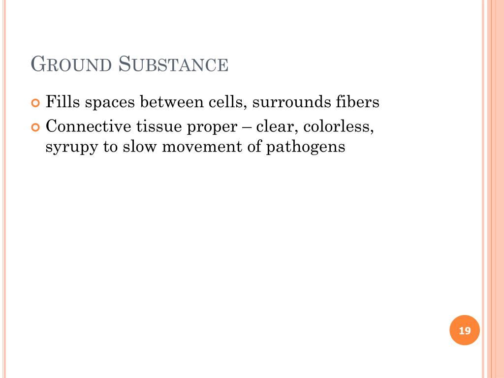 PPT - Histology PowerPoint Presentation, free download - ID:2503693
