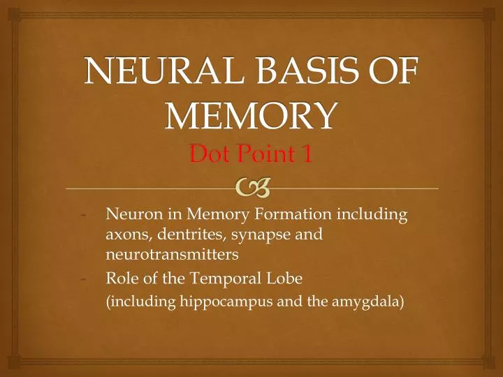 PPT - NEURAL BASIS OF MEMORY Dot Point 1 PowerPoint Presentation, free ... PPT - NEURAL BASIS OF MEMORY Dot Point 1 PowerPoint Presentation, free ...