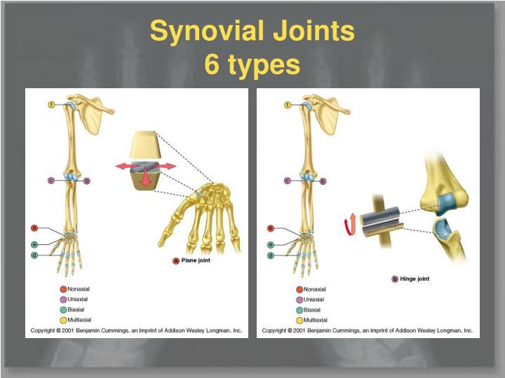 This Image Shows Some Examples Of The Movements Of Joints And Their