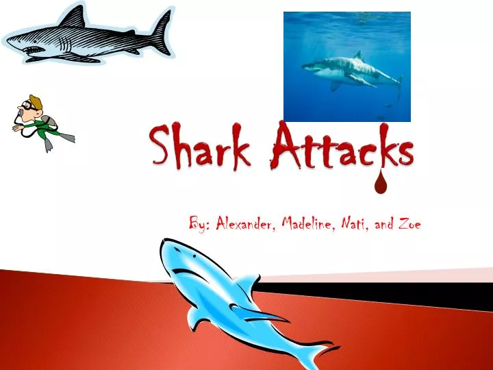 PPT - Shark Attacks PowerPoint Presentation, free download - ID:2504142