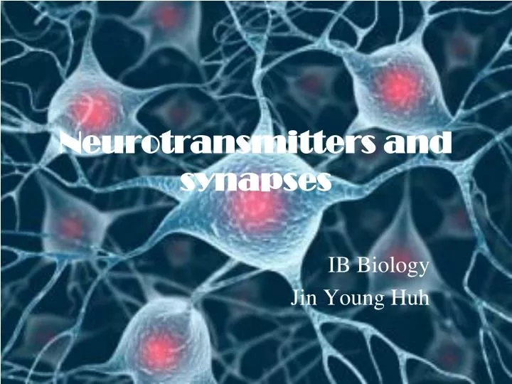 PPT - Neurotransmitters and synapses PowerPoint Presentation, free ...