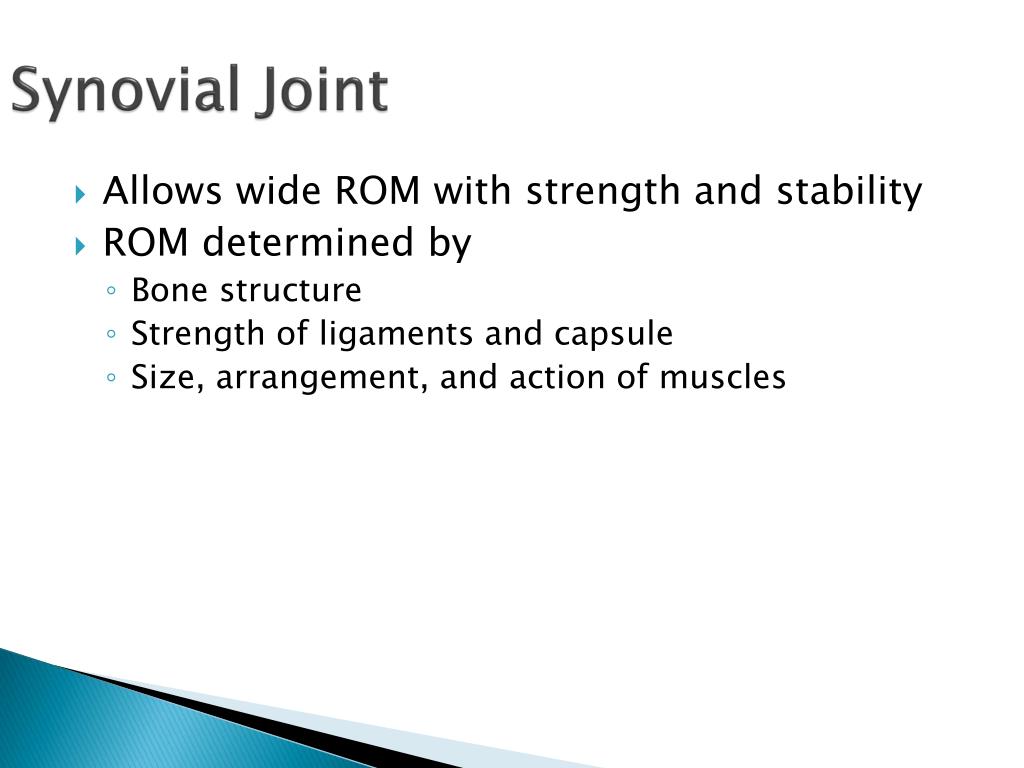 PPT - Structure of Synovial Joints PowerPoint Presentation, free ... PPT - Structure of Synovial Joints PowerPoint Presentation, free ...