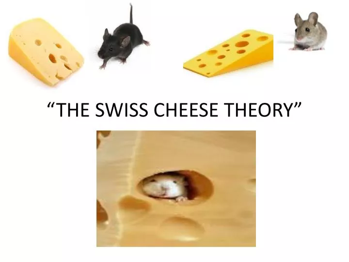 PPT - “THE SWISS CHEESE THEORY” PowerPoint Presentation, free download ... PPT - “THE SWISS CHEESE THEORY” PowerPoint Presentation, free download ...