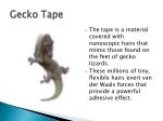 PPT - Biomimicry PowerPoint Presentation - ID:2505470