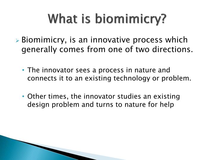 PPT - Biomimicry PowerPoint Presentation - ID:2505470