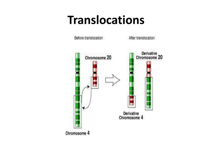 PPT - Mutagenesis and Mutations Overview of Genetic Disease PowerPoint ...