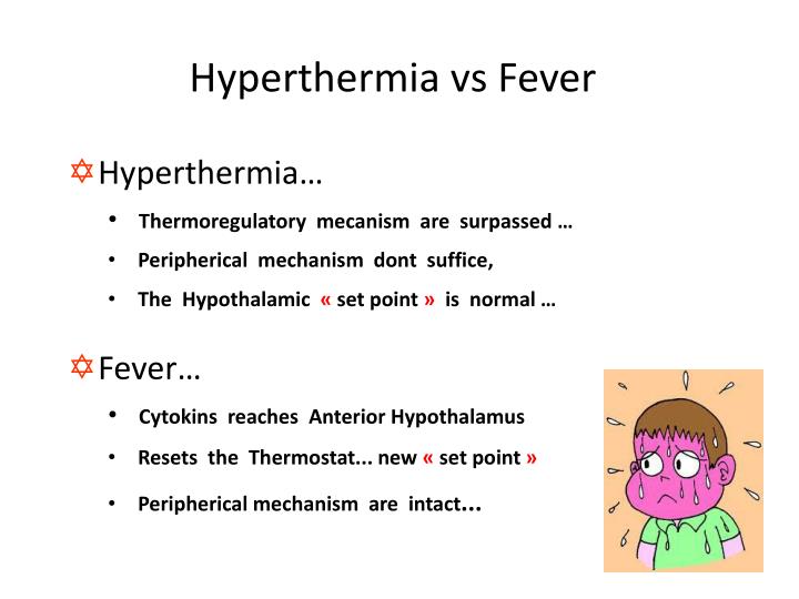 PPT - Heat Related Illness PowerPoint Presentation - ID:2506046