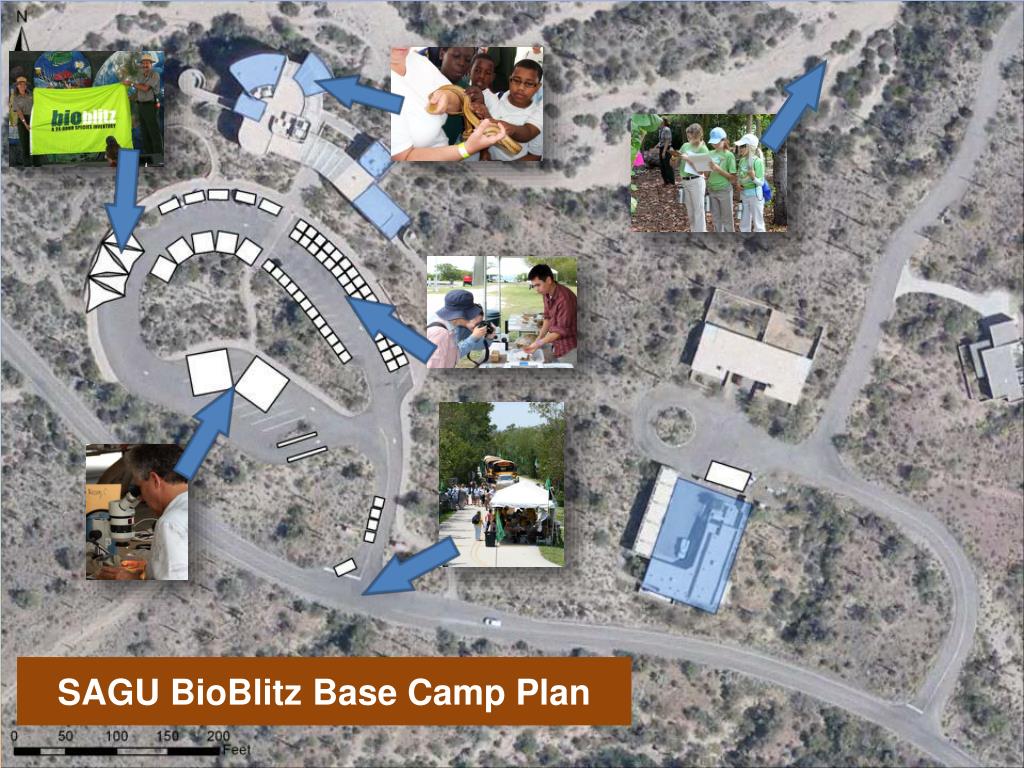 PPT - National Geographic and National Park Service: 10 Years of BioBlitz PowerPoint ...