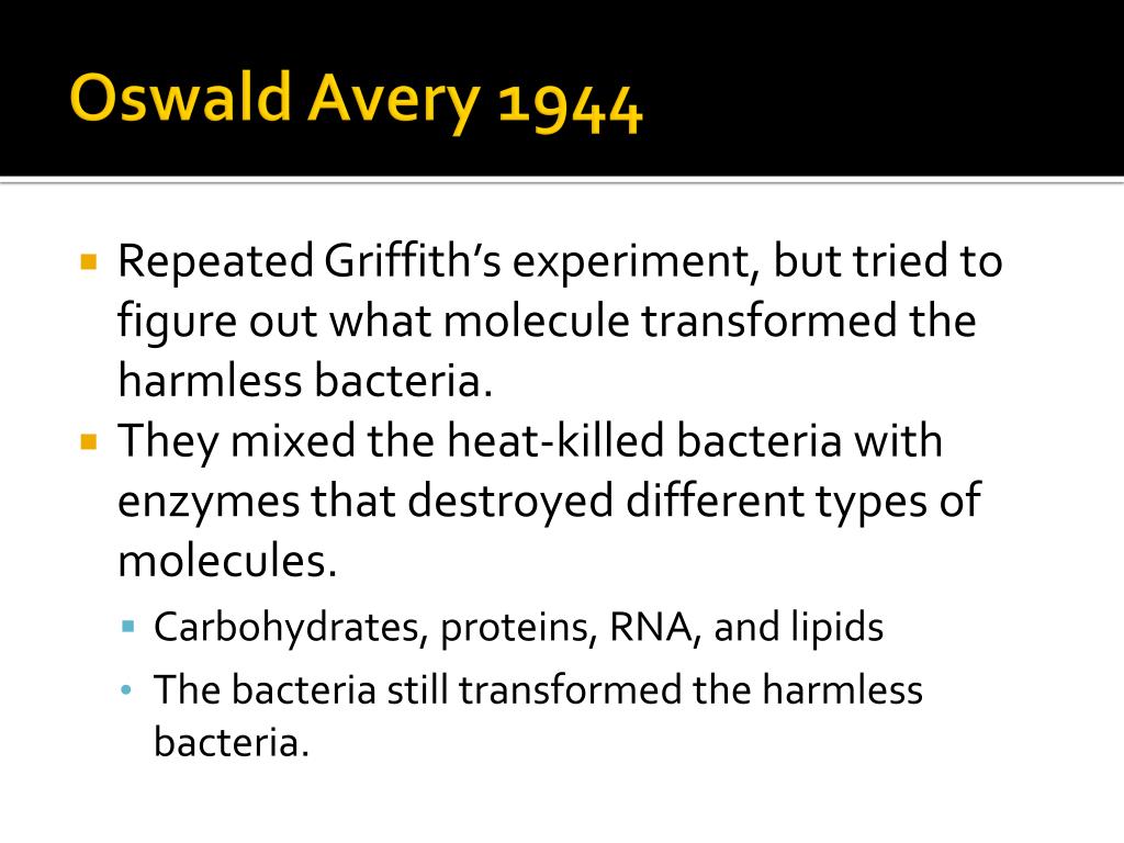 PPT - Discoveries Surrounding the Chemical Nature of the Gene ...