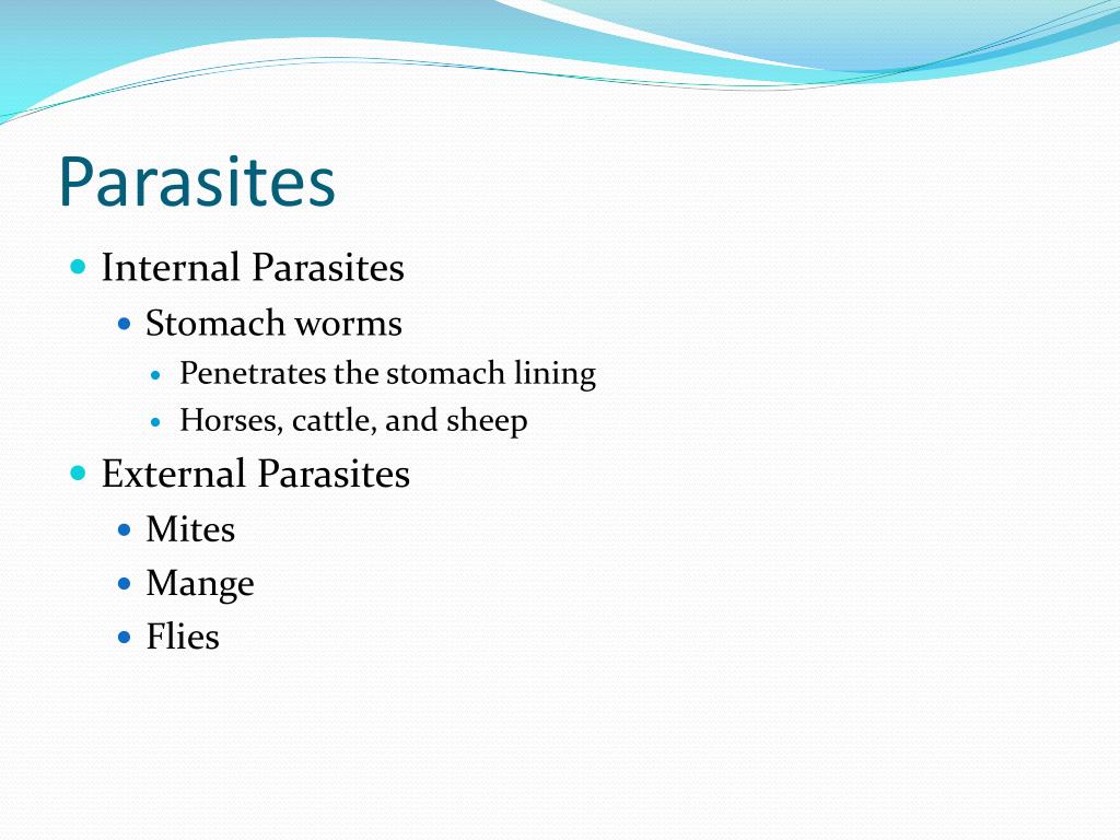 PPT - Animal Disease And Parasite Susceptibility PowerPoint ...