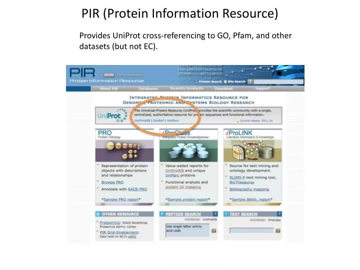 PPT - PIR (Protein Information Resource) PowerPoint Presentation, free ...