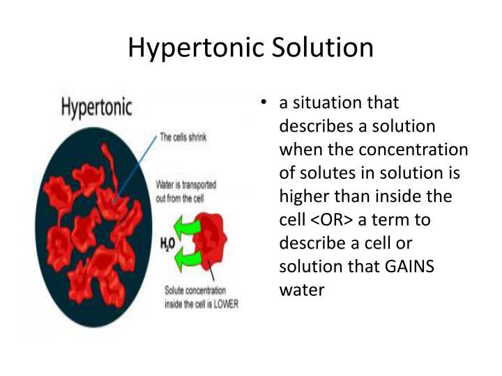 PPT - Active Transport PowerPoint Presentation - ID:2510053