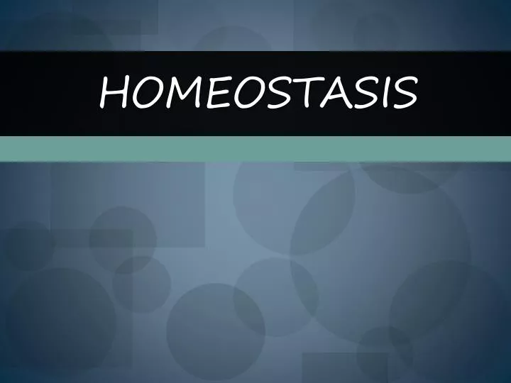 PPT - Homeostasis PowerPoint Presentation, free download - ID:2510134