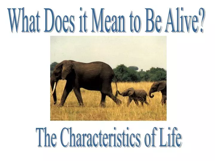PPT - What Does it Mean to Be Alive? PowerPoint Presentation, free ...