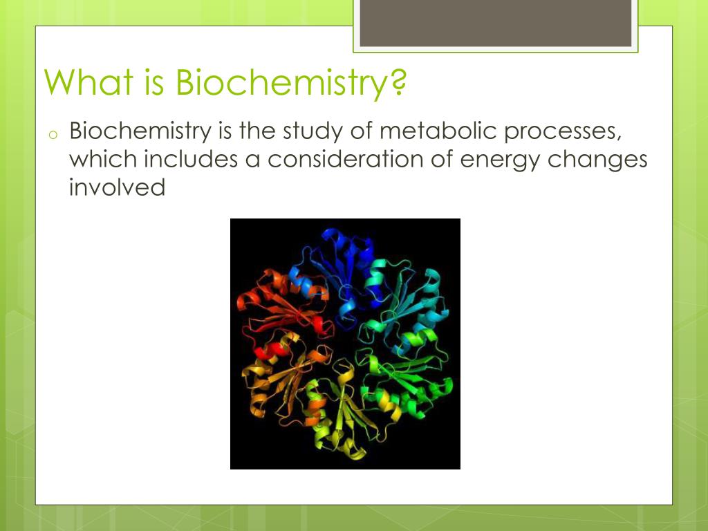 PPT - Option B: Human Biochemistry (Energy) PowerPoint Presentation ...