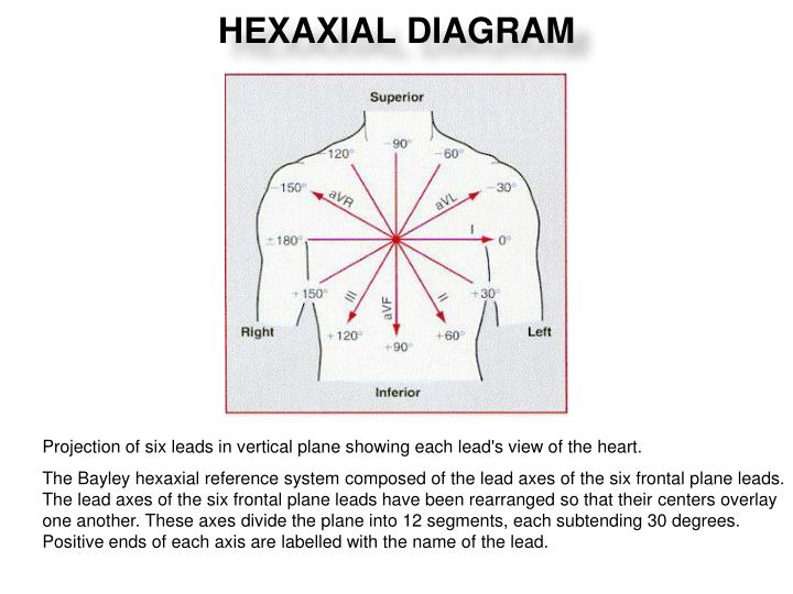 PPT - Electrocardiogram ECG PowerPoint Presentation - ID:2511256