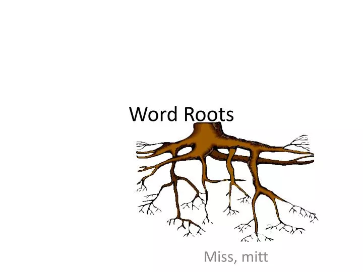 PPT - Word Roots PowerPoint Presentation, free download - ID:2511767