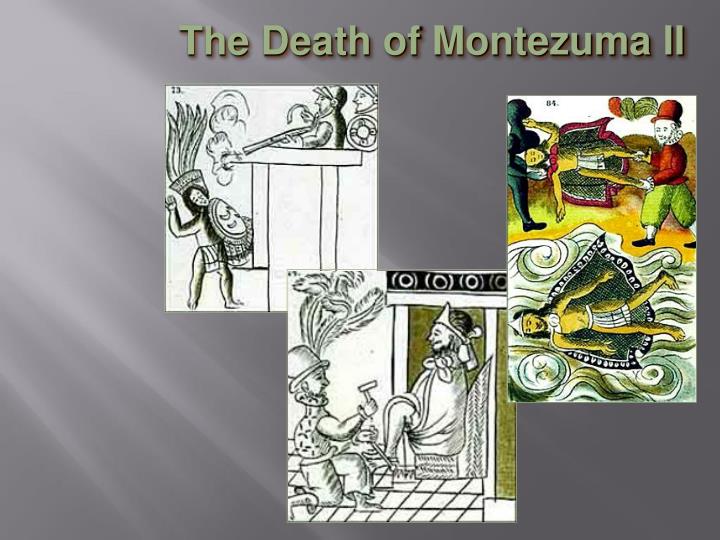 PPT - The Age of Exploration PowerPoint Presentation - ID:2512419