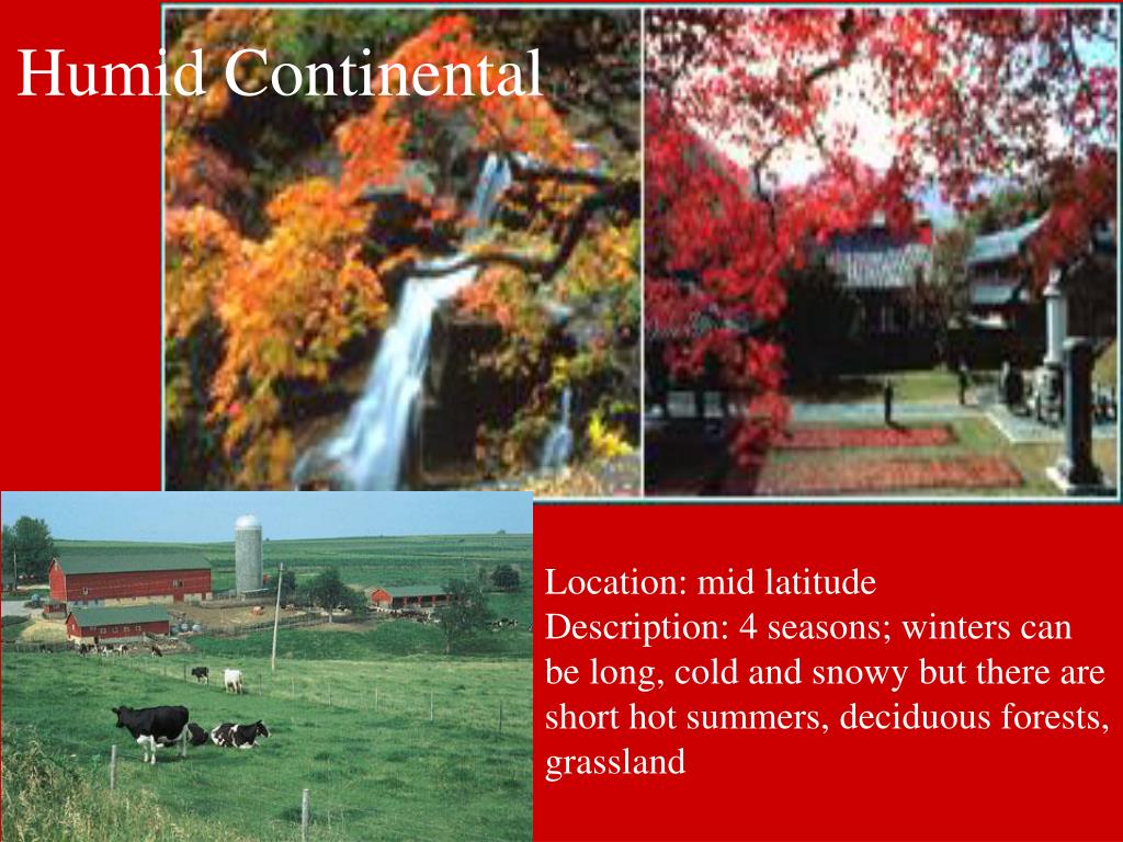 PPT - Tropical Climates Tropical Savanna Tropical Rainforest PowerPoint ...