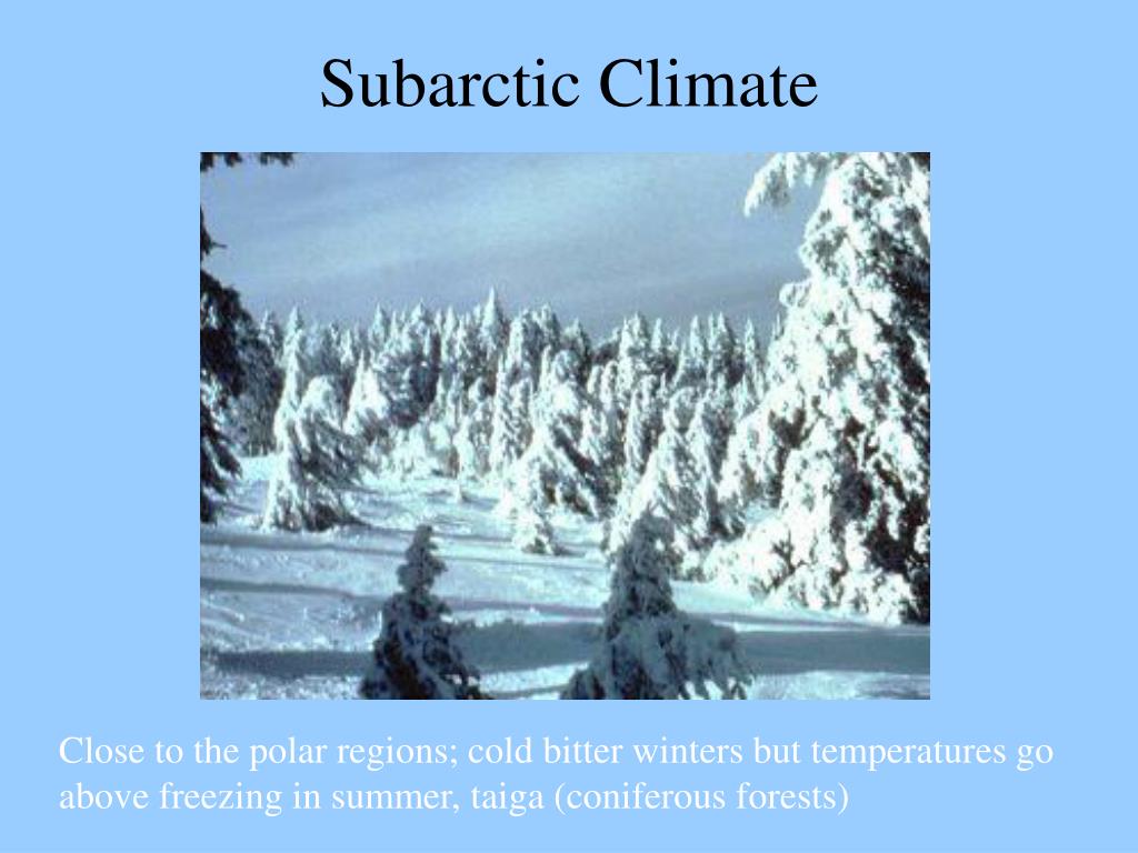 PPT - Tropical Climates Tropical Savanna Tropical Rainforest PowerPoint ...