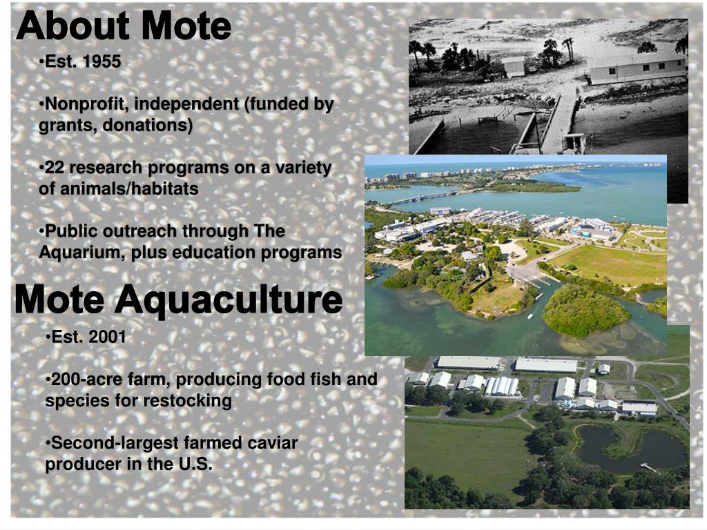 PPT - Eco- F riendly Farming at Mote Aquaculture Park PowerPoint ...