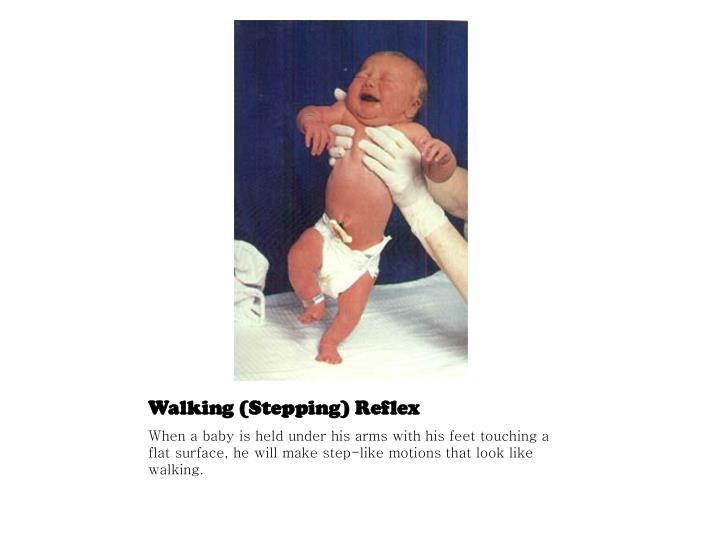 PPT - Newborn Reflexes PowerPoint Presentation - ID:2513715
