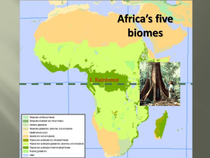 PPT - Africa’s biomes PowerPoint Presentation - ID:2514965