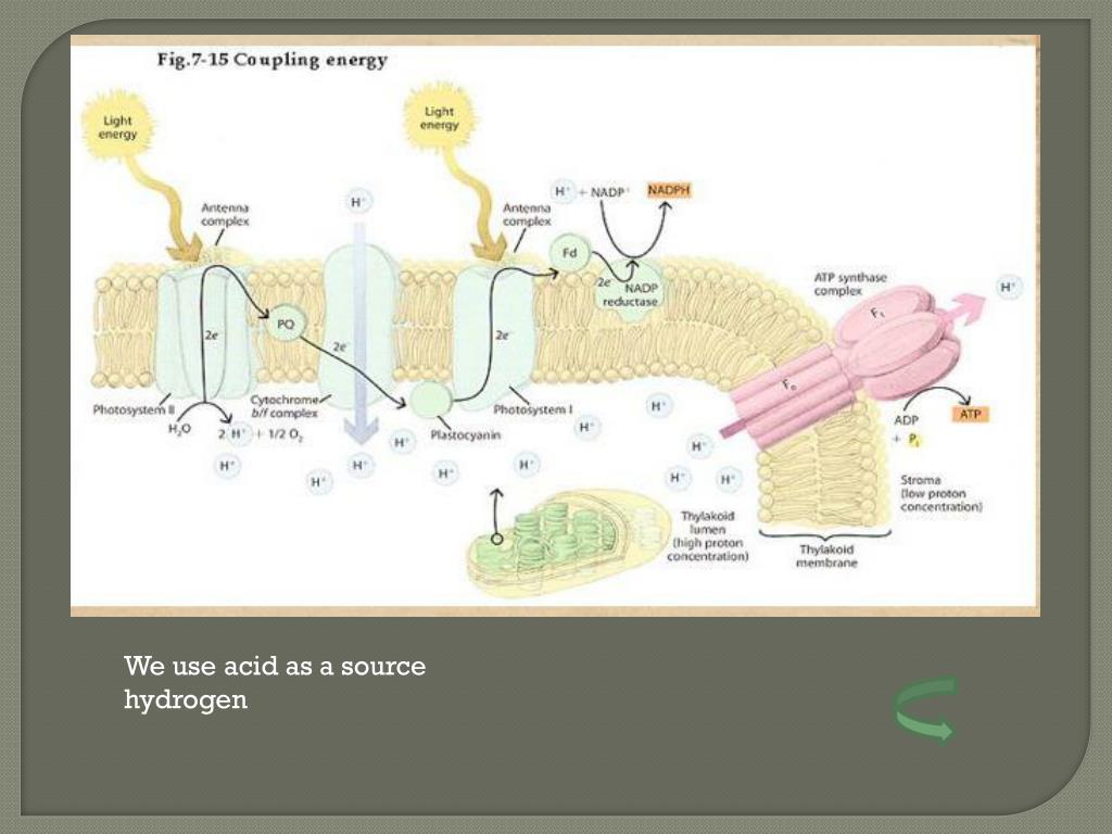 PPT - Chemical Energy Storage “Super Plant” Storage PowerPoint ...