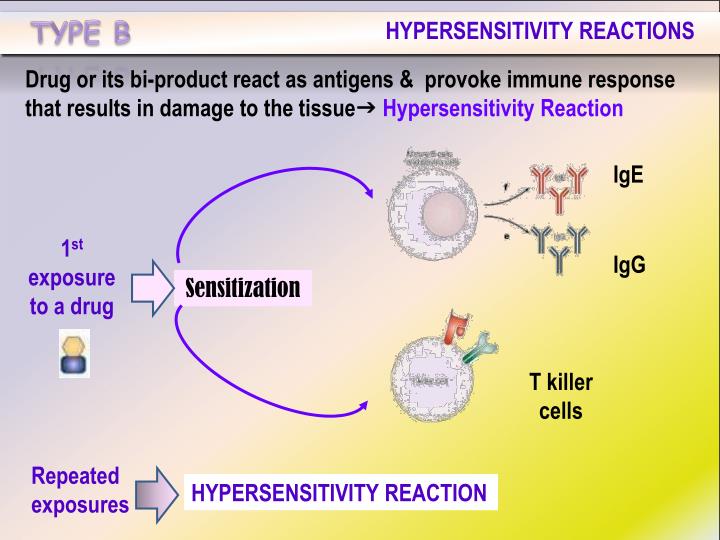 PPT - TOLERANCE, DESENSITIZATION & ADVERSE DRUG REACTIONS PowerPoint ...