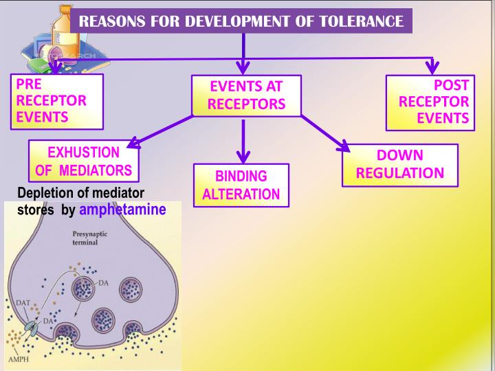 PPT - TOLERANCE, DESENSITIZATION & ADVERSE DRUG REACTIONS PowerPoint ...