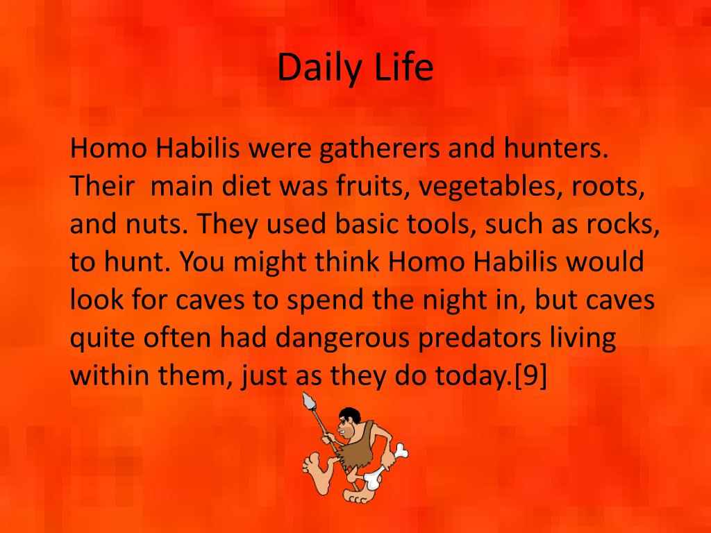 PPT - Homo Habilis “Handy Man” PowerPoint Presentation, free download ...