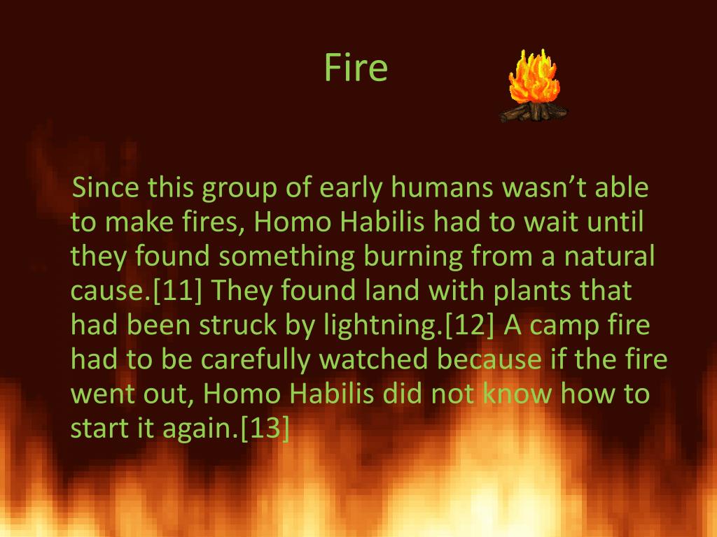 PPT - Homo Habilis “Handy Man” PowerPoint Presentation, free download ...