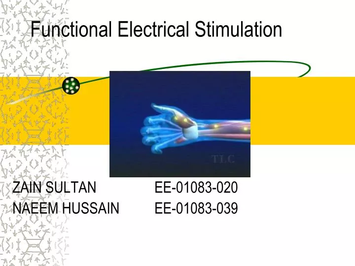 PPT - Functional Electrical Stimulation PowerPoint Presentation, free ...