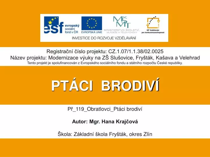 PPT - PTÁCI BRODIVÍ PowerPoint Presentation, free download - ID:2516890