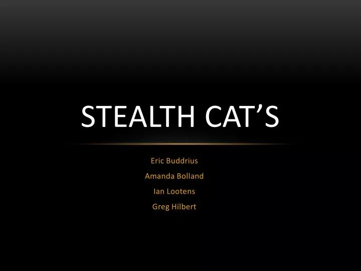 PPT - Stealth CAT’s PowerPoint Presentation, free download - ID:2518062