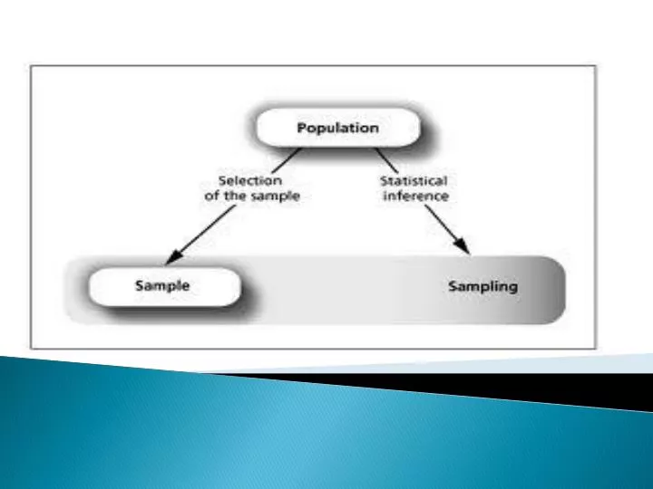 PPT - Sampling at different stages PowerPoint Presentation, free ...