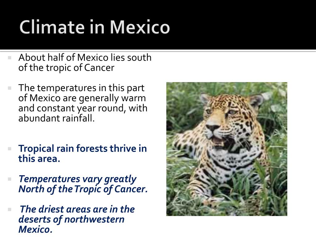 PPT - Chapter 7 Latin America Mrs. Uding 7 th Grade Geography ...