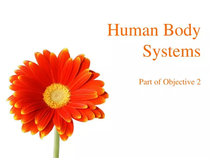 PPT - Human Body Systems PowerPoint Presentation, free download - ID ...